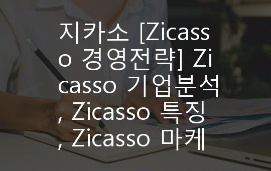 지카소 [Zicasso 경영전략] Zicasso 기업분석, Zicasso 특징, Zicasso 마케팅 전략, Zicasso ...